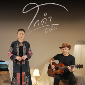 เพลง โกดำ (Reproduced 2025) - ไม้เมือง